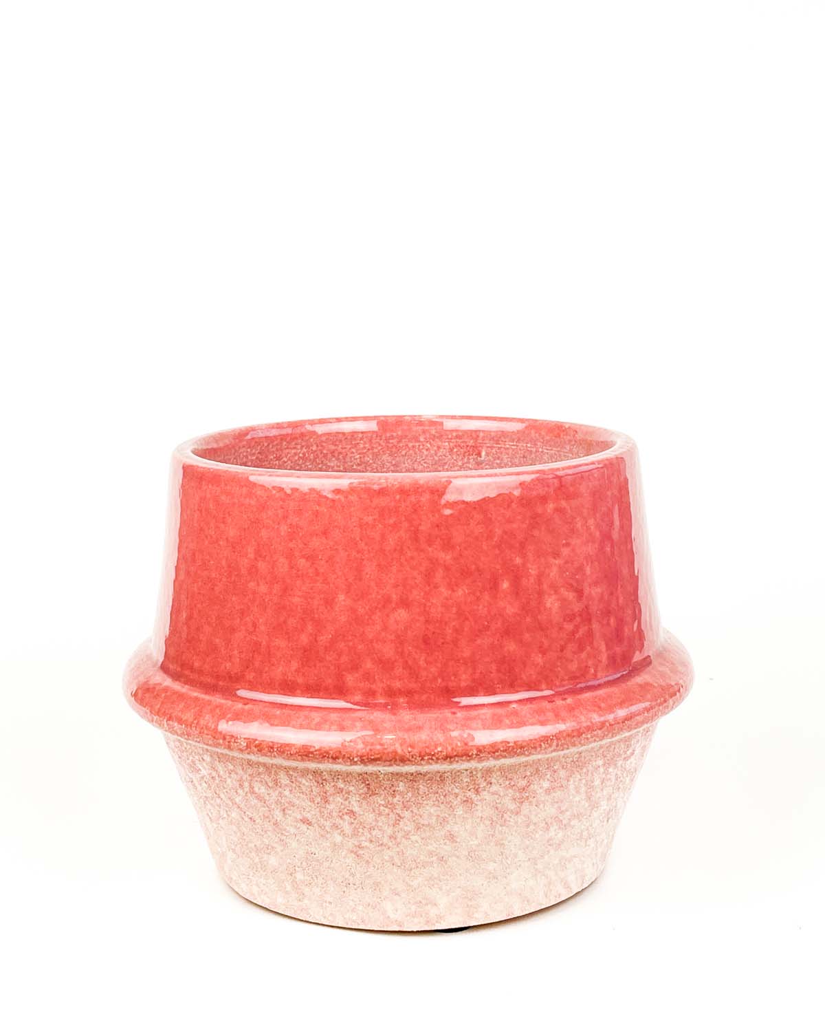 Fernando (M) - 13 cm - Džungla Plants