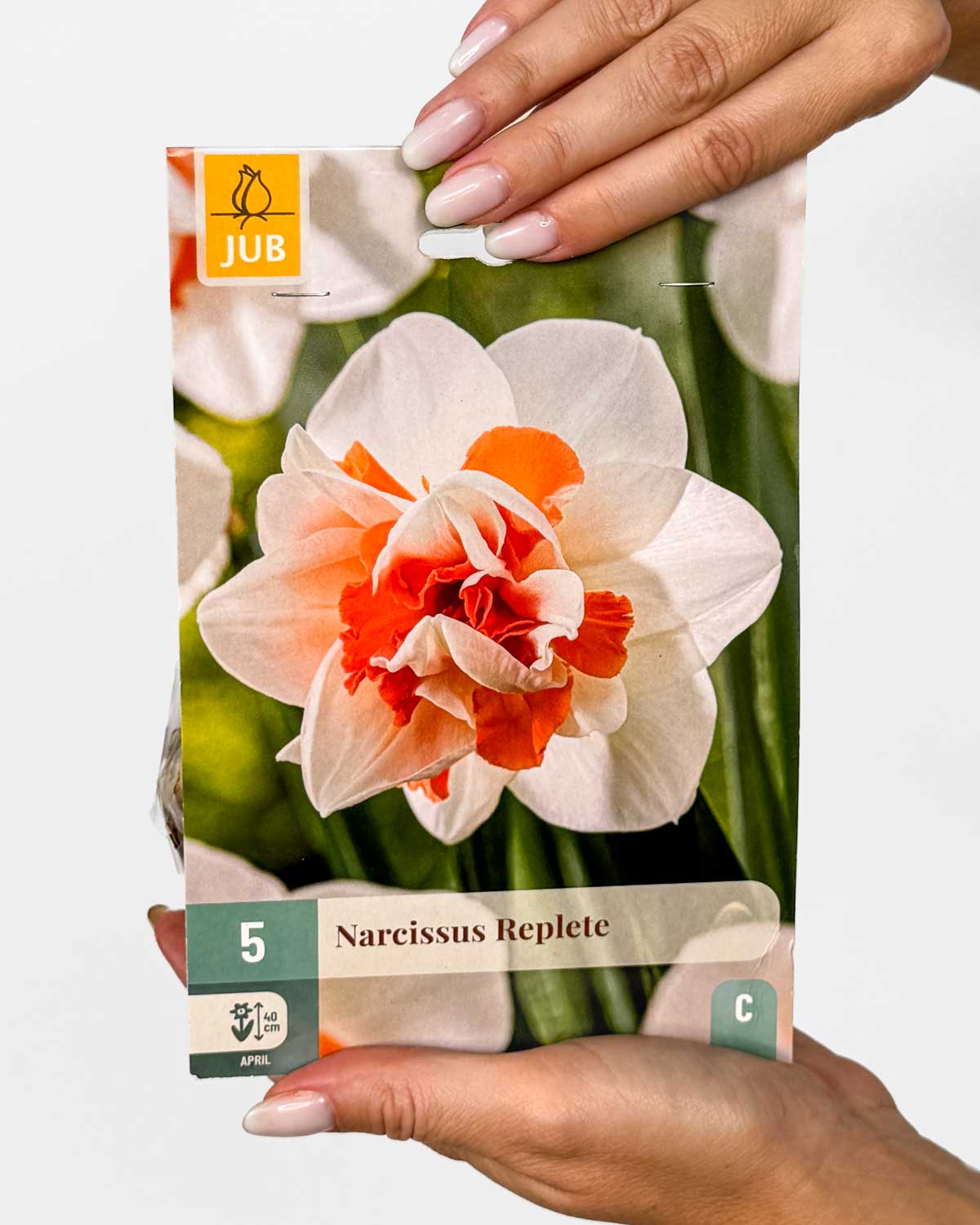 Čebulice Narcisa 'Replete' (Narcissus) (5 čebulic) - Džungla Plants